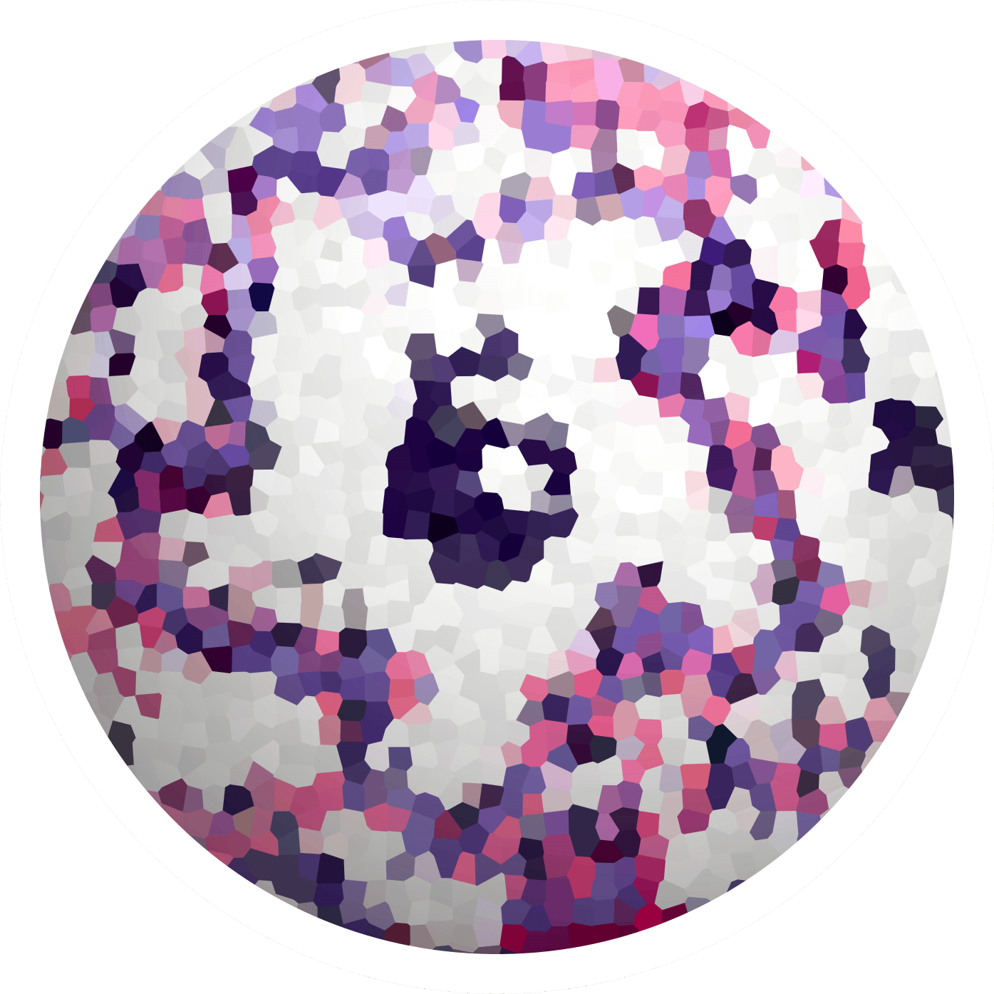 Football Prediction League